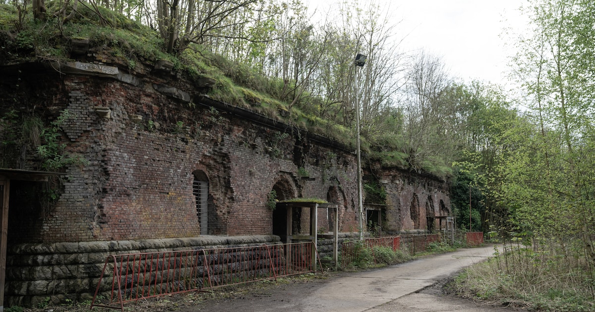 Heemkundige kring start met nieuwe reeks gegidste wandelingen in ...
