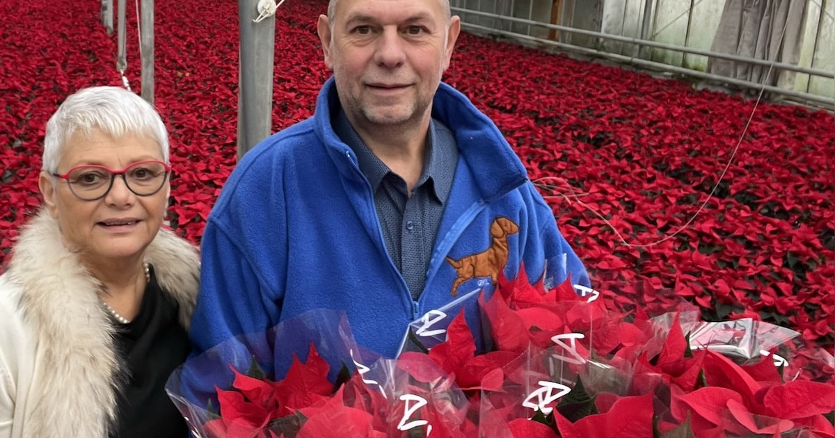 Fabiola (64) en Patrick (65) hopen dit jaar opnieuw honderden ...