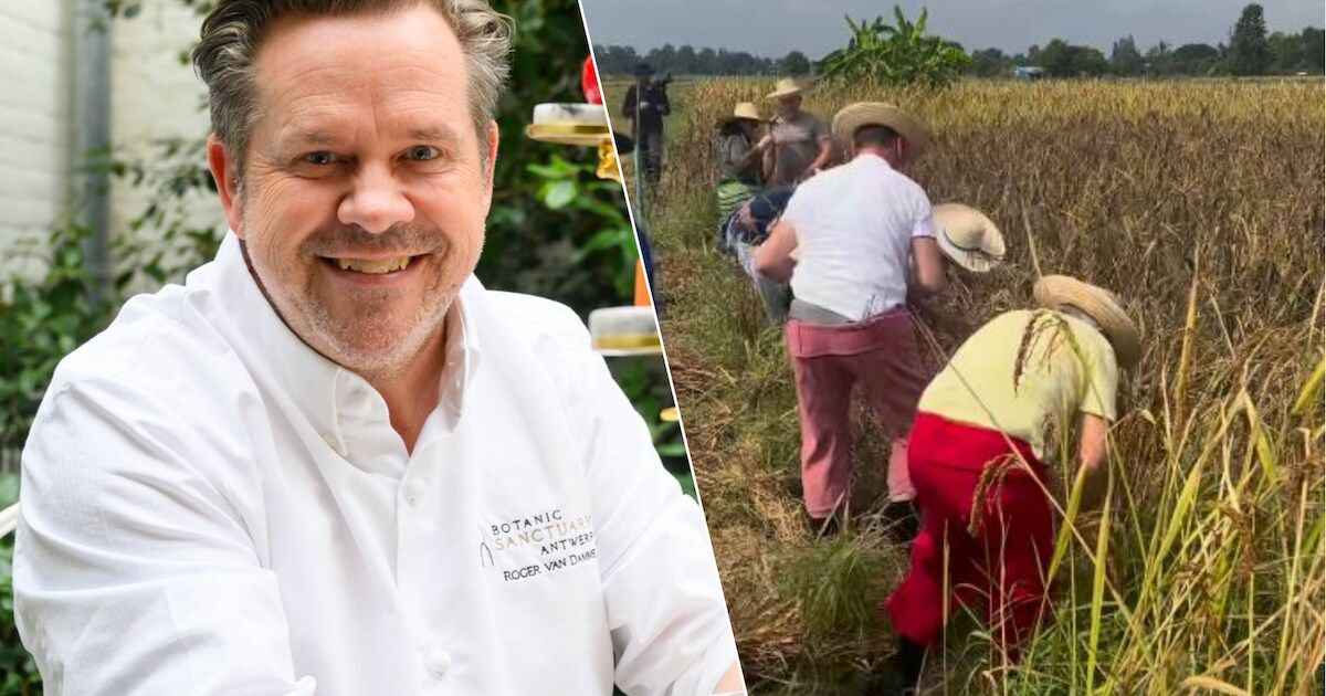 KIJK. Sterrenchef Roger van Damme neemt foodies mee op culinaire reis ...