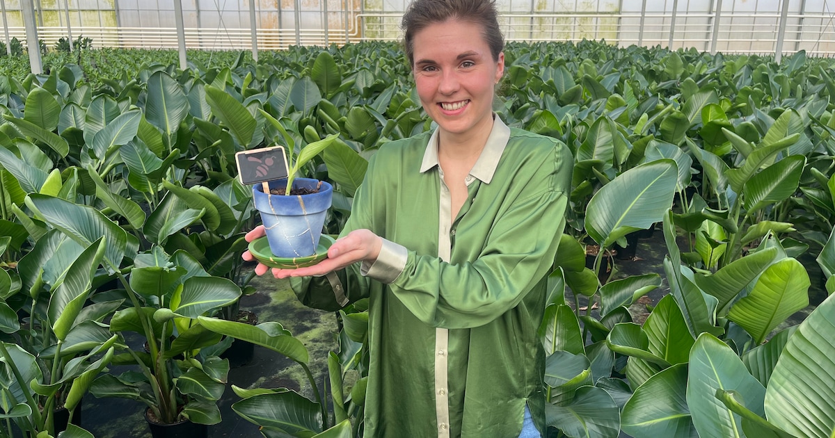 Creatief tussen duizenden paradijsvogelplanten: Jolien (35) geeft ...