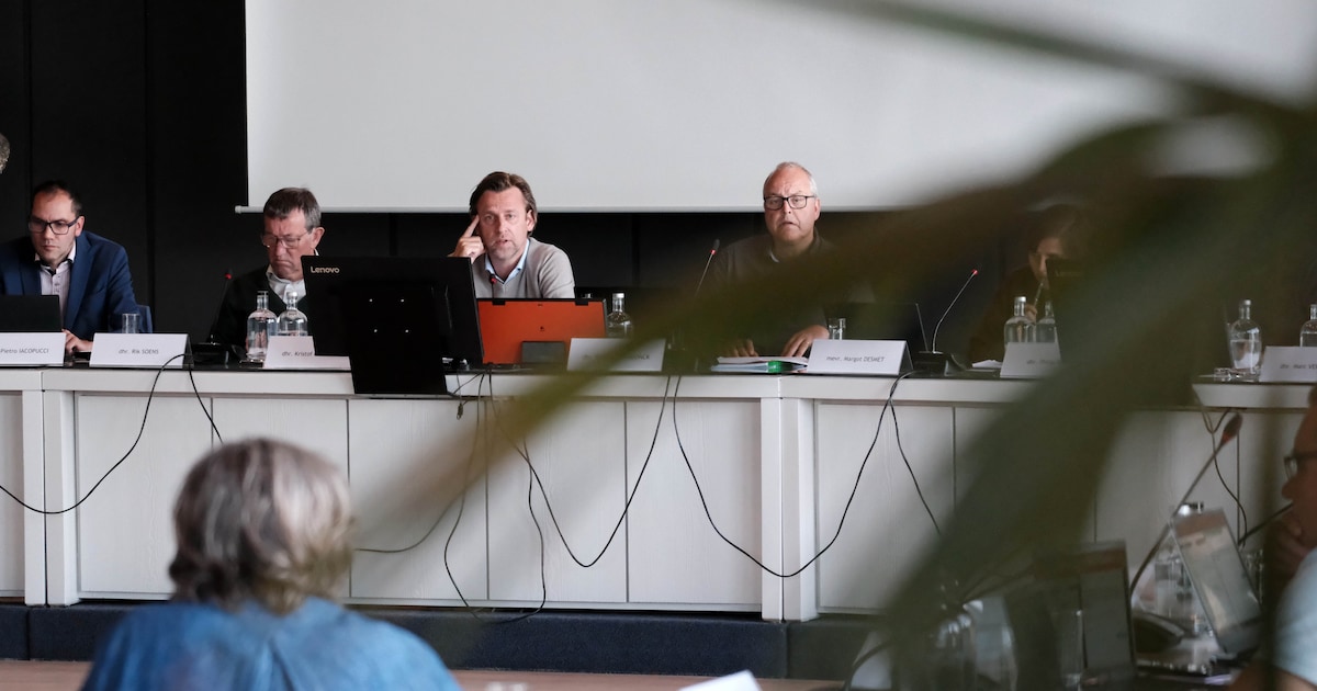 Van de nieuwe tarieven voor Imog tot enkele aanpassingen van toelages: gemeenteraad komt maandag ...