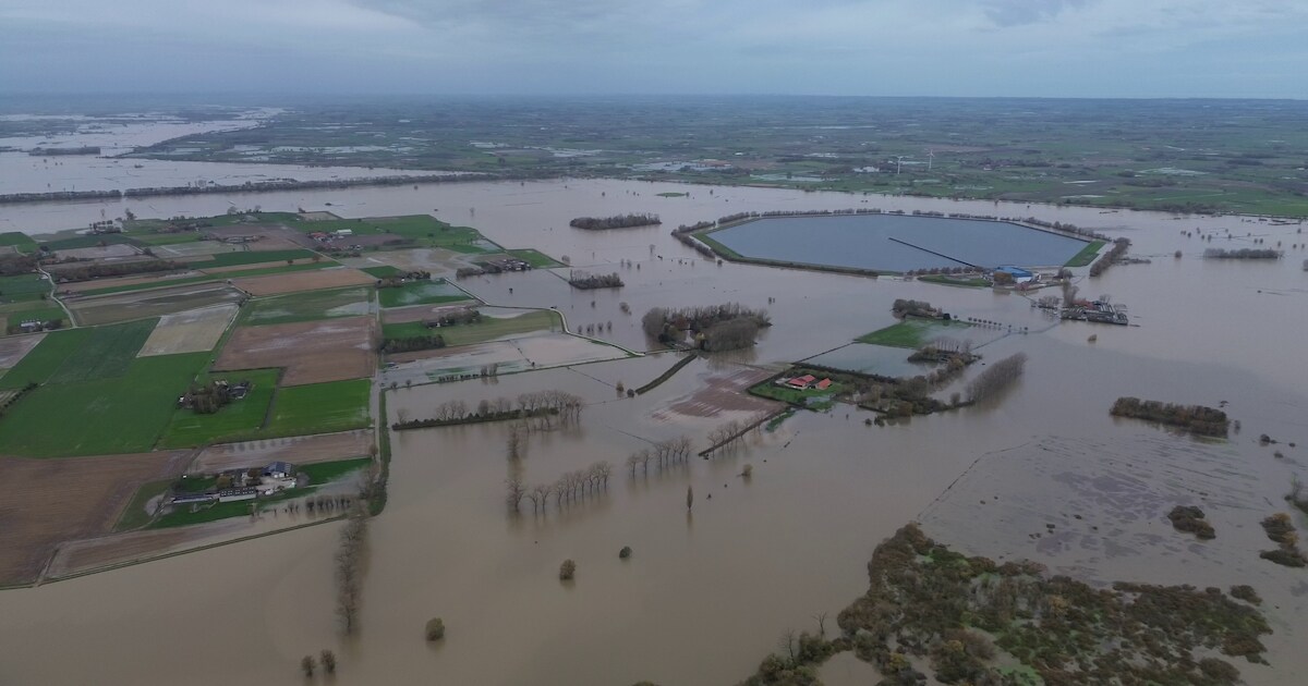 KIJK. Indrukwekkende dronebeelden tonen omvang wateroverlast in Merkem ...