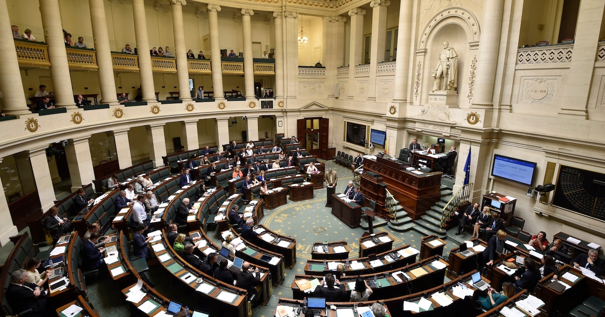 Minder volk in parlement? Niet voor 2024 | Nieuws | HLN.be