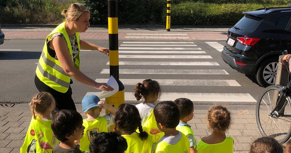 De Puzzel beloond met zilveren Verkeer op School-medaille | Regio | HLN.be