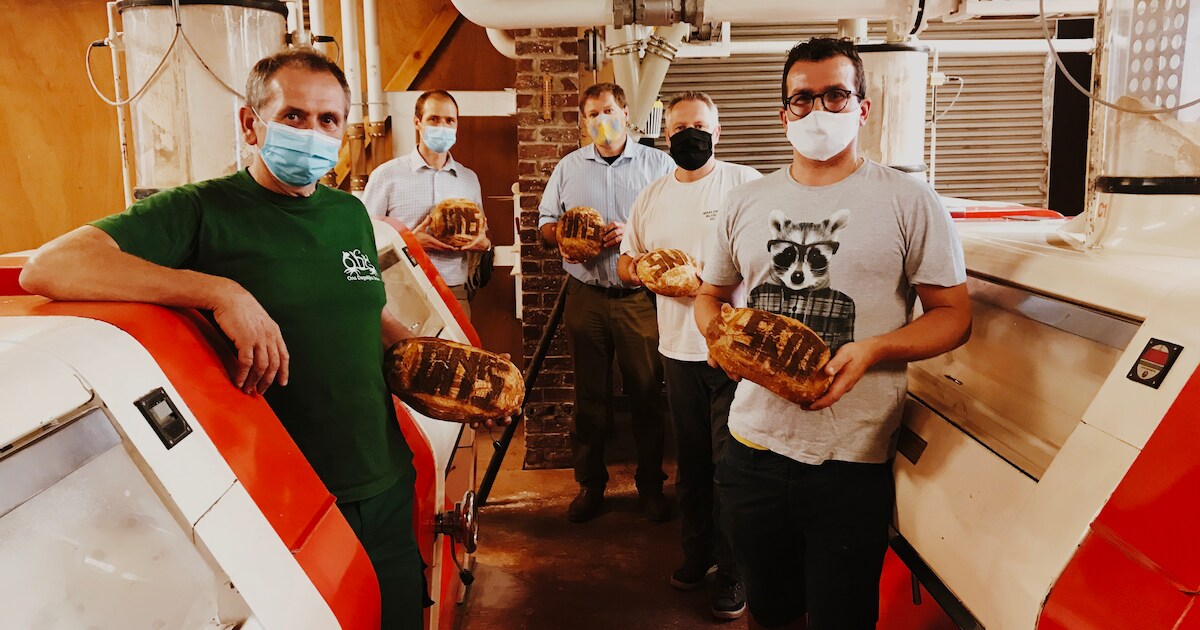 Te proeven dit weekend: “Brood van Meldertse tarwe, een zeldzaamheid ...