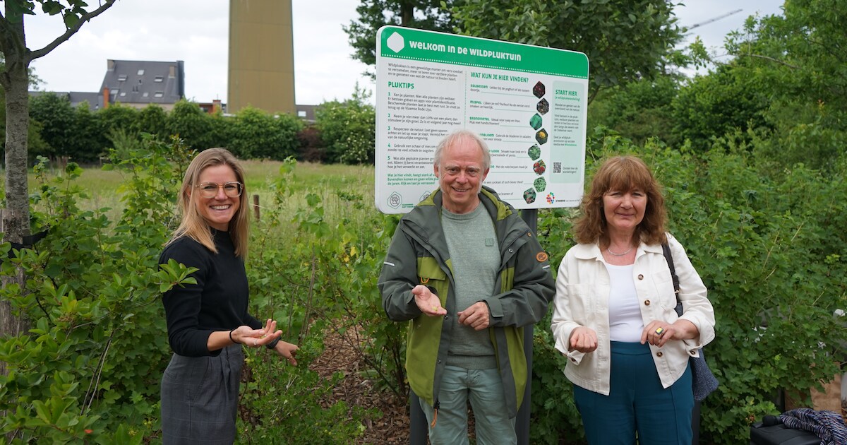 Route stimuleert inwoners tot wildplukken: “Fijne manier om vers ...
