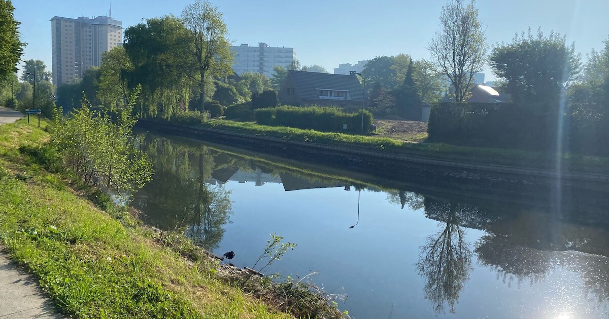 Werken aan zijarm van de Leie in Gent: tijdelijke waterpeilverlaging ...