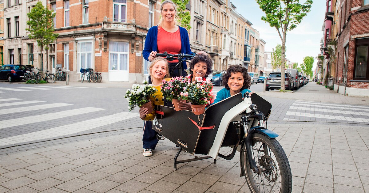 80 vrijwilligers verkopen dit weekend 3.500 azalea’s ten voordele van ...