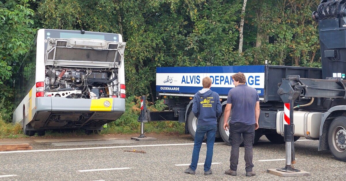 Bus bolt van parking, kruist N48 en belandt in de bosjes | Brakel | HLN.be