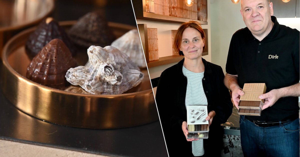 Dirk (54) en Leen (49) maken unieke chocoladecreaties met een link naar ...