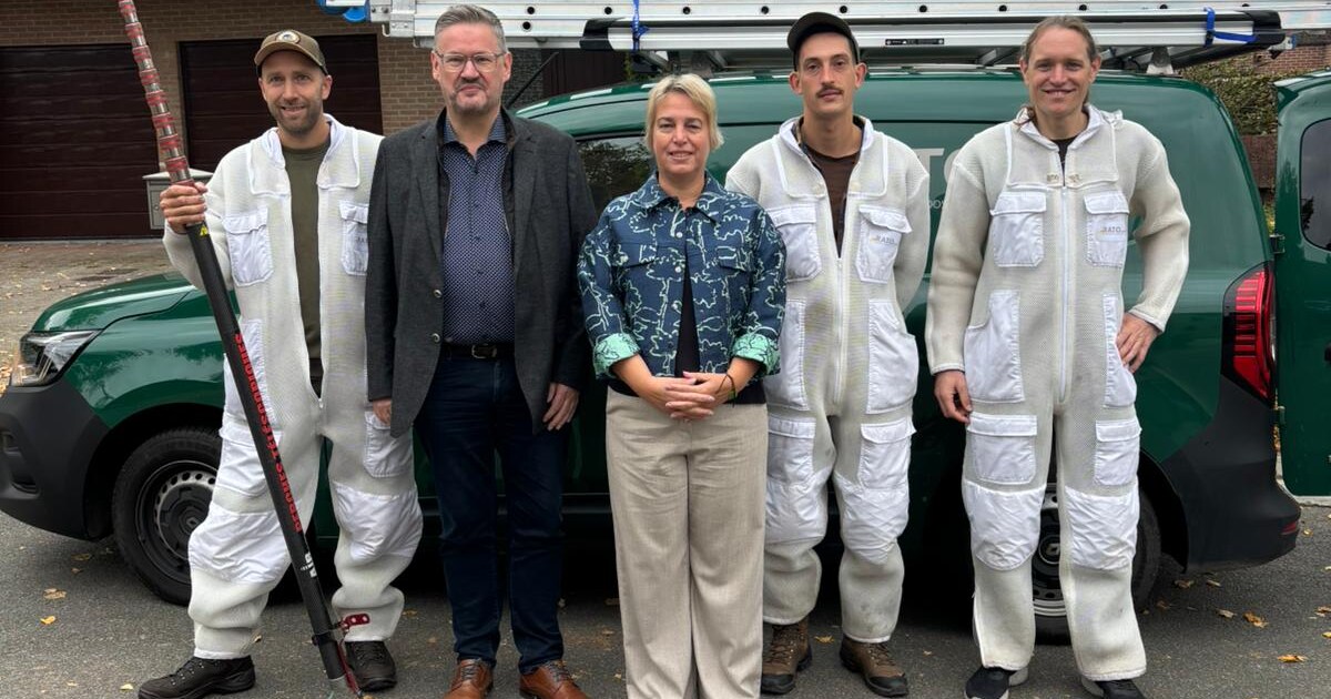 6.000 meldingen van Aziatische hoornaars in Oost-Vlaanderen ...