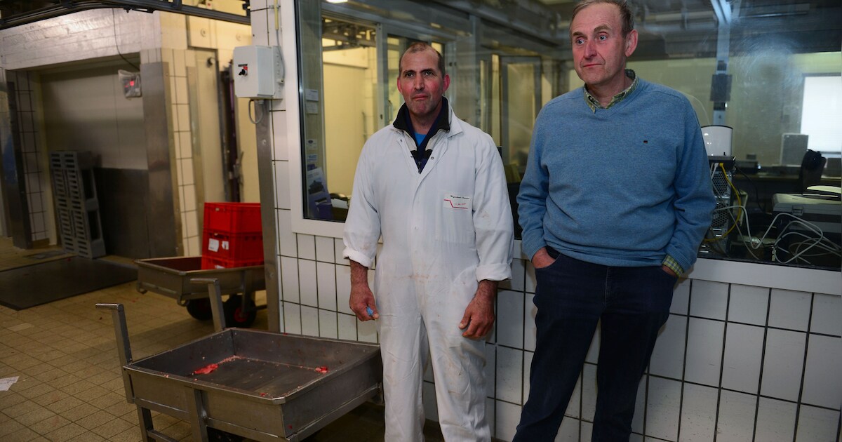 Kluis geplunderd bij Carton | Leuven | hln.be