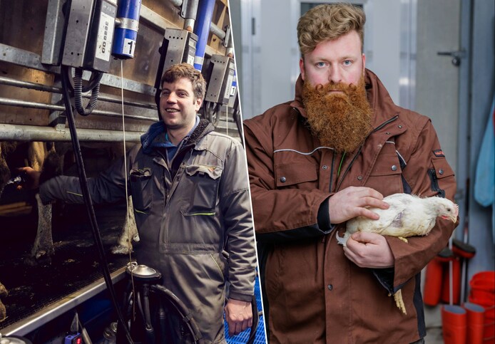 Twee jonge ‘rode boeren’ over stikstofakkoord: “Ik trakteer mijn ouders ...