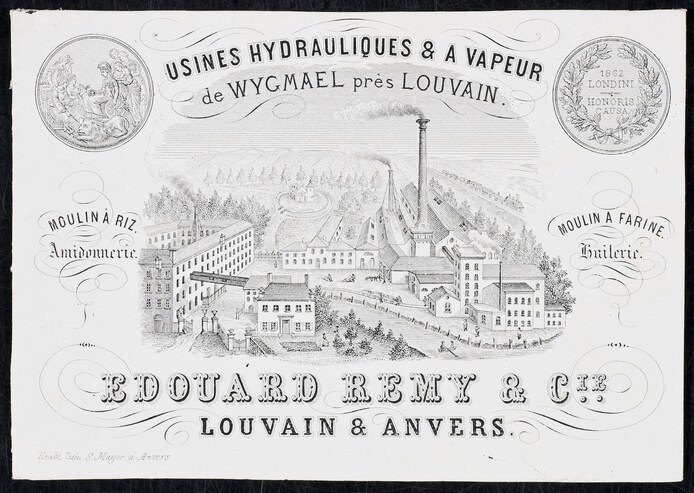 Edouard Remy (1813-1896), de weldoener die trouwde met de vrouw van ...