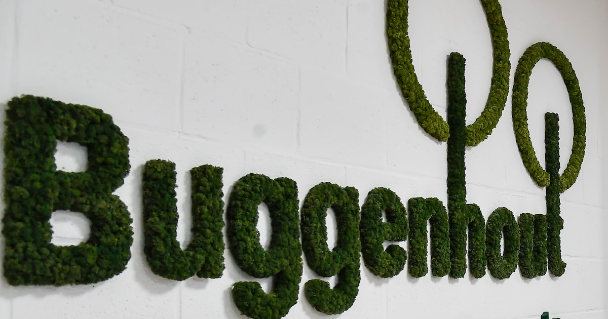 Na meer dan 1.300 verkochte exemplaren: Bugo-bon is schot in de roos | Buggenhout | HLN.be