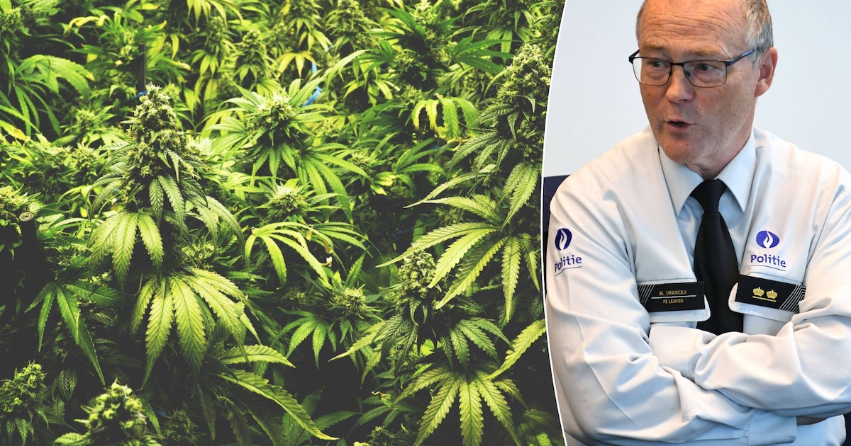 Drugs blijven alomtegenwoordig in Vlaanderen: zoveel mensen worden in ...