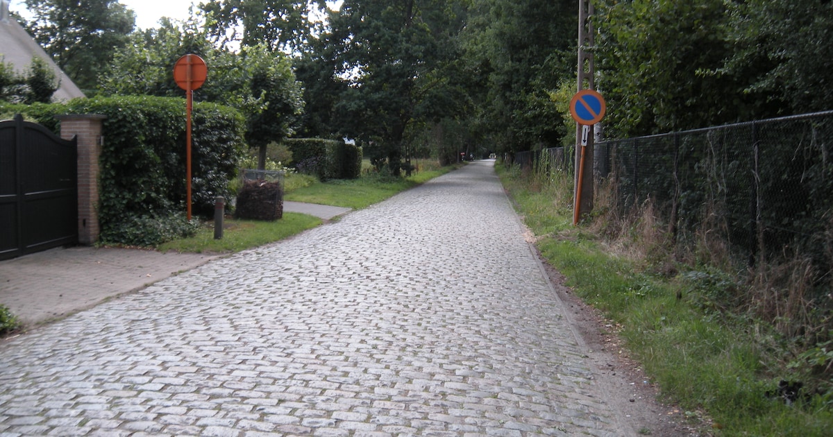 Pleidooi voor fietsstrook in Beeldstraat: “Fietsen op kasseien is niet ...