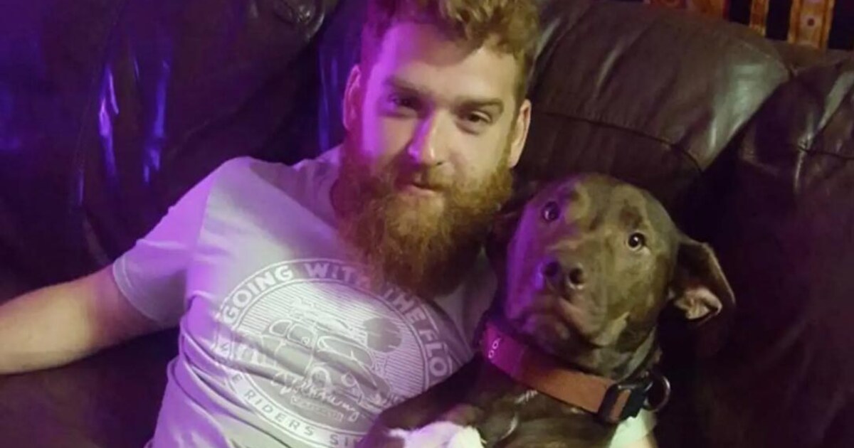 Hond trapt op geweer en schiet man dood | Buitenland | hln.be