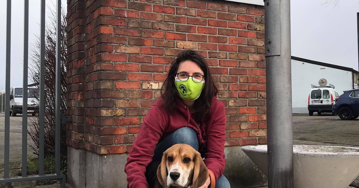 Hoe zou het nog zijn met de plannen voor een dierenasiel in de regio ...