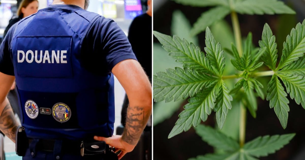 Tiener reist rond met 32 (!) kilo cannabis in koffer | Zaventem | hln.be