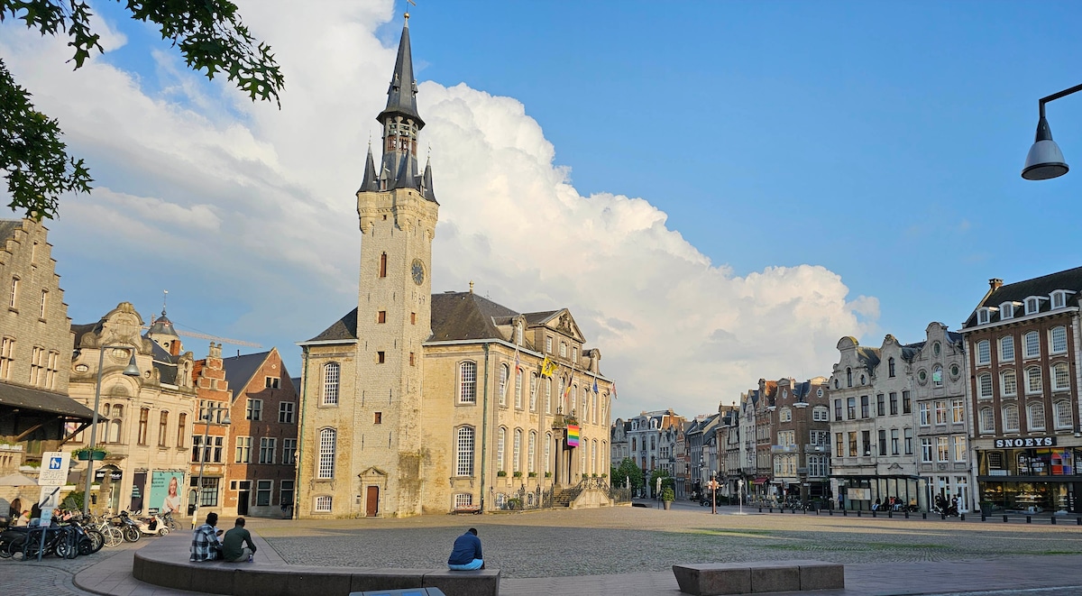 Nieuw reglement moet Lierse verenigingen minder administratie opleveren ...
