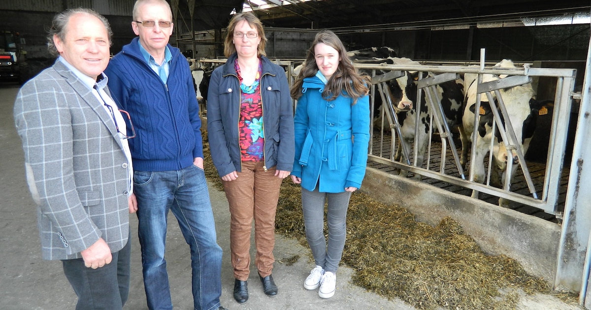 "Zwaar investeren of bedrijf inkrimpen" | Nieuws | hln.be