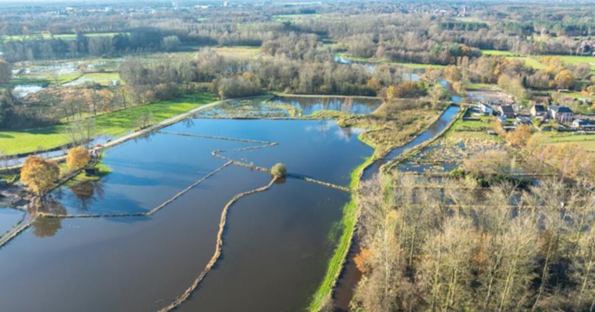 Begeleide wandeling neemt je mee langs nieuwe meanders op de Aa ...