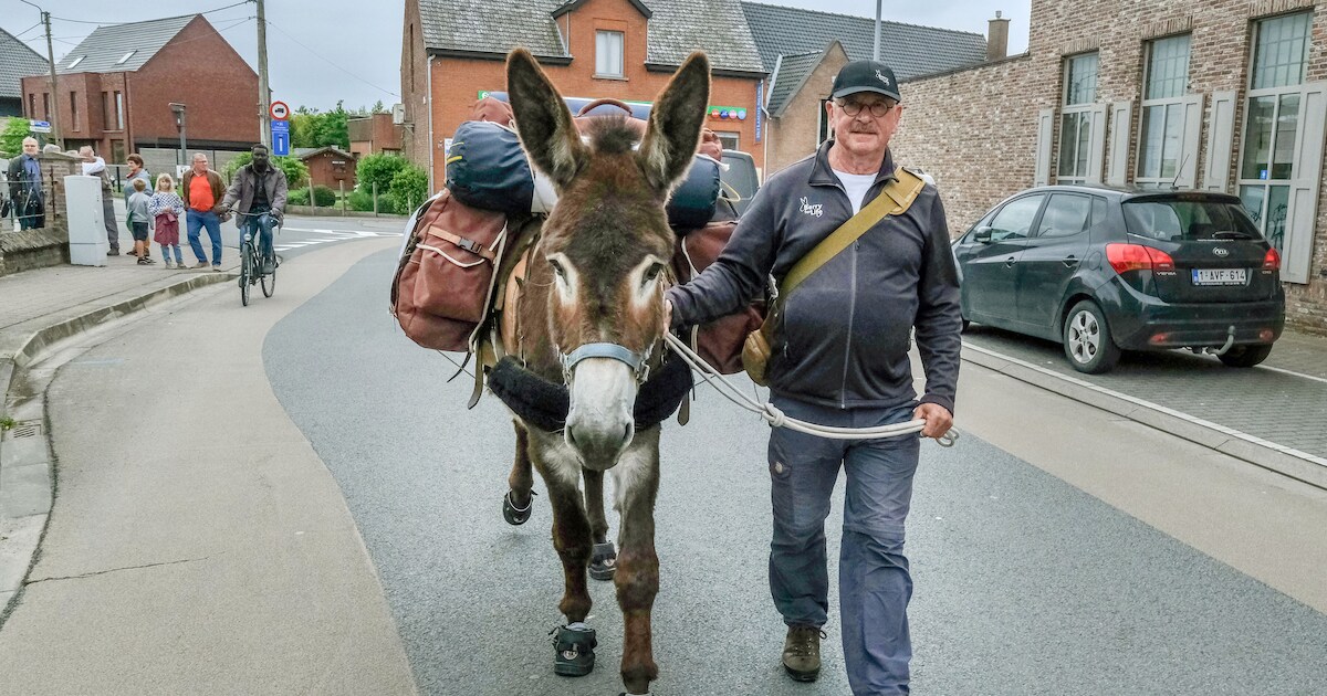 Ga op stap met ezel Berry ten voordele van vzw D.O.G.B.O.-DOGBO ...