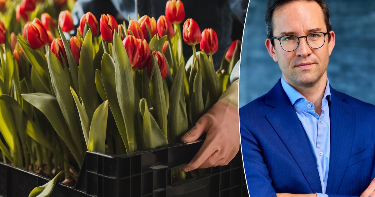 Zijn bloemenwinkels ten dode opgeschreven? Voor het eerst verkopen ...