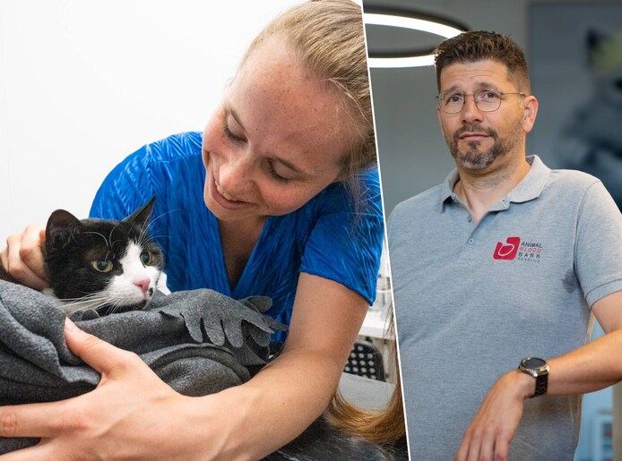 REPORTAGE. Uw huisdier als donor? “Het is betaalbaar en je kan er een ...