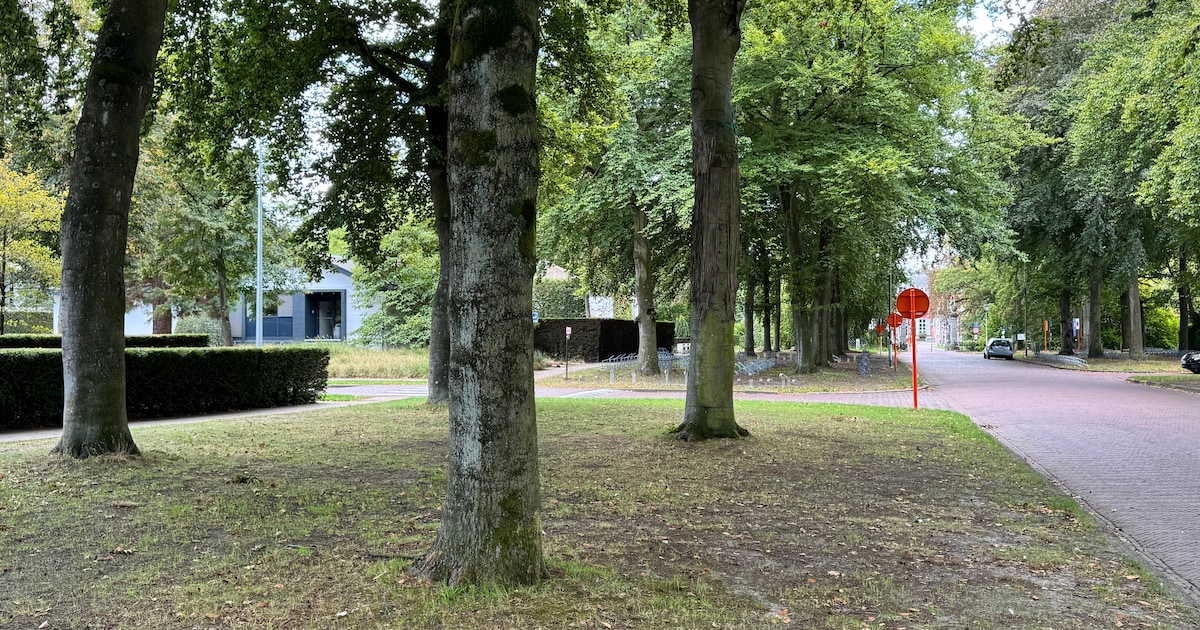 Groen wil niet langer dat auto’s bij grote evenementen in bermen van ...