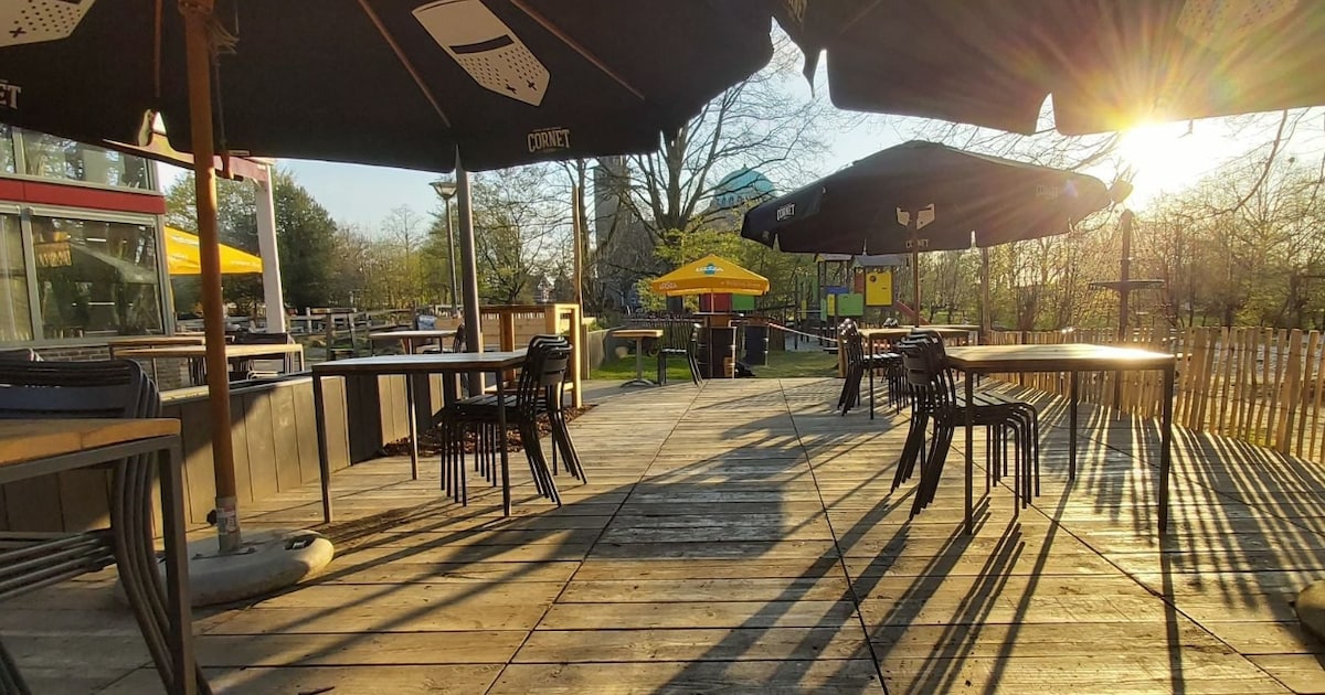 Bar Bos viert vijfde verjaardag met rijkgevuld feestweekend | Edegem ...