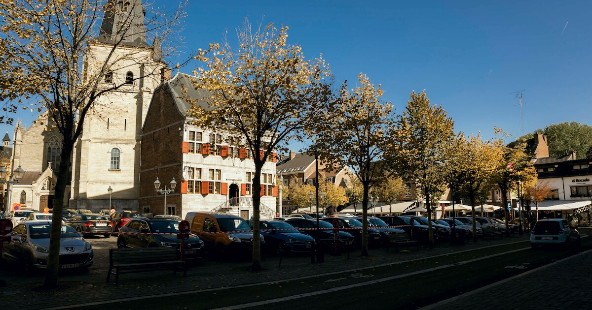 Vrouw (33) die man neerstak met glasscherf in Bilzen is aangehouden ...