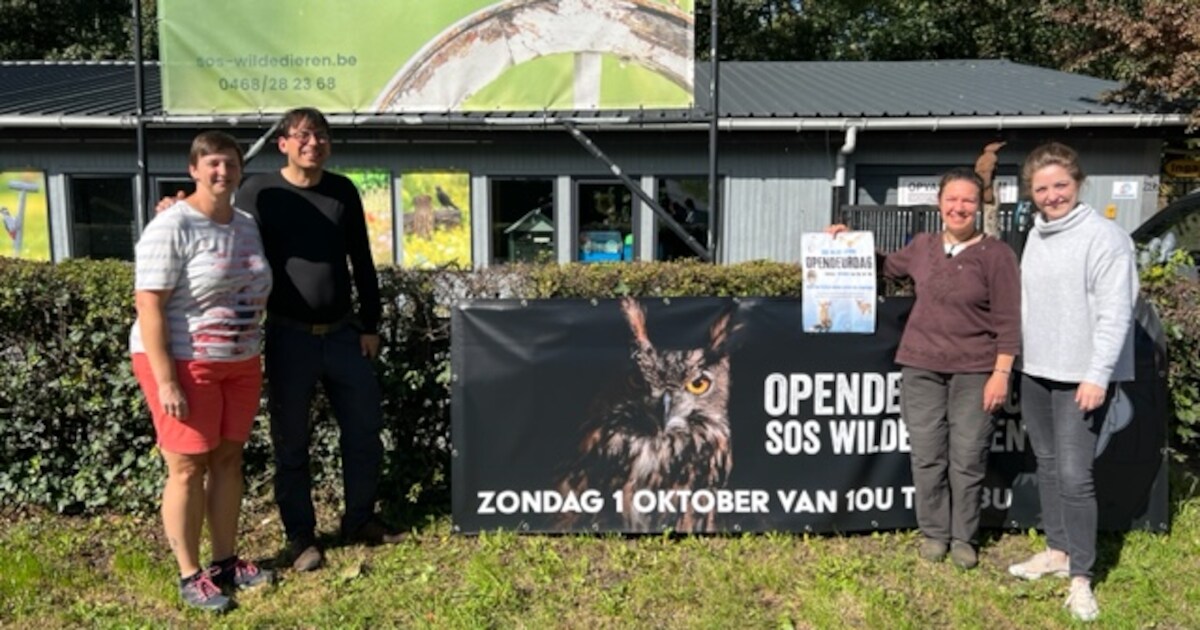 SOS Wilde Dieren zet de deuren open voor het publiek: “Al meer dan 3. ...