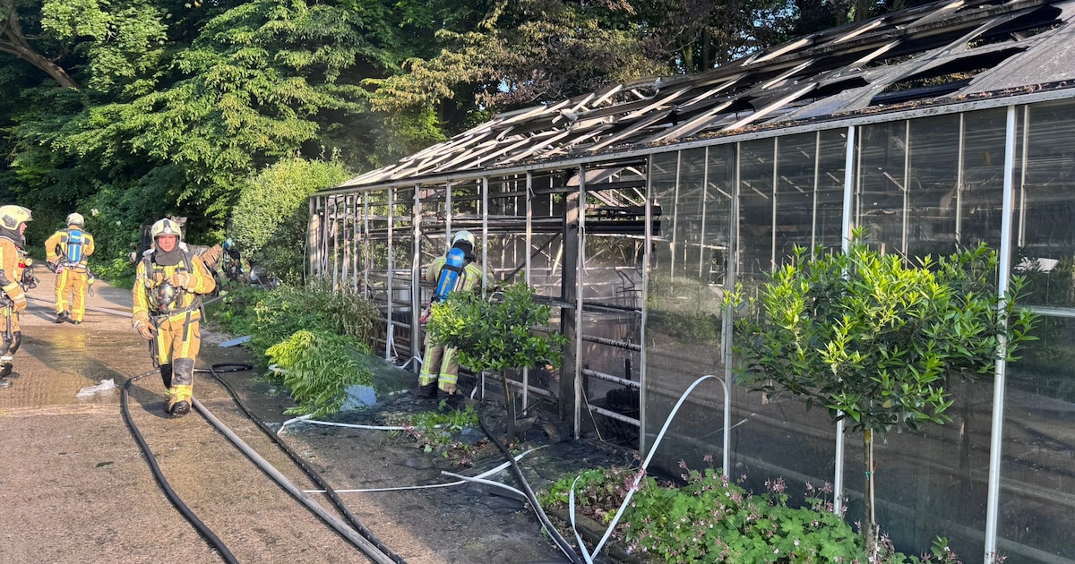 Gemeentelijke serre in Josaphatpark grotendeels vernield na brand ...