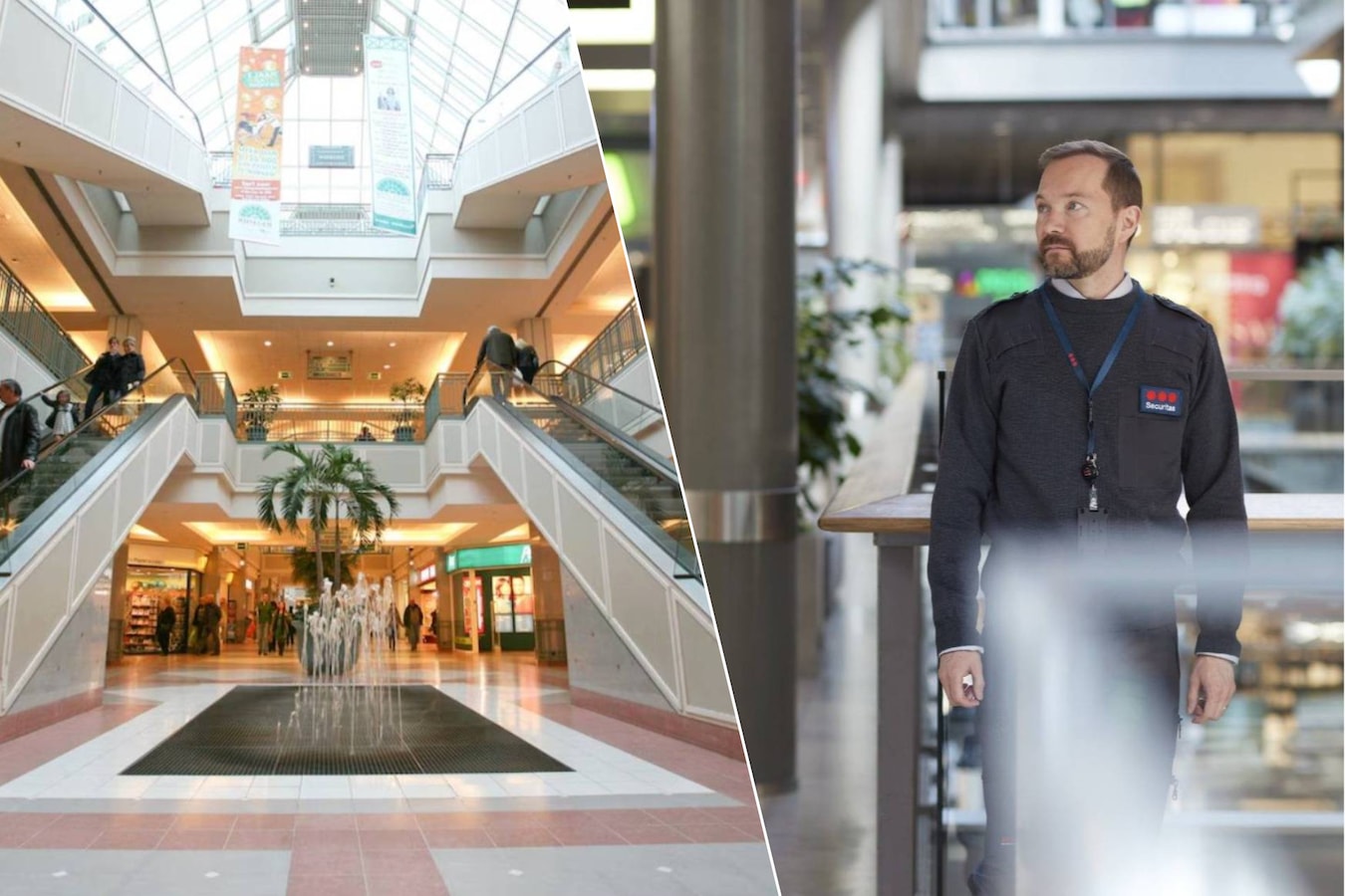 Deze regioverhalen mocht u dit weekend niet missen: van de strijd tegen ...