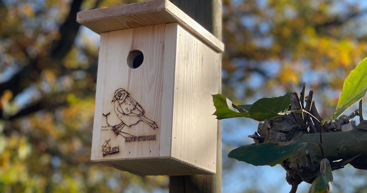 Op zoek naar een origineel cadeau? Schenk een handgemaakt nestkastje ...
