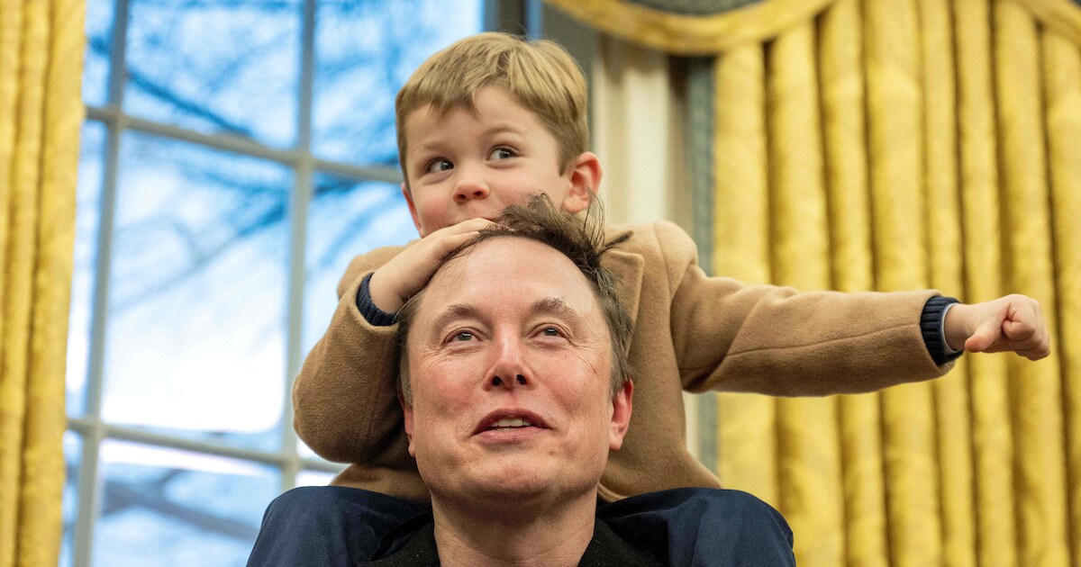 KIJK. Terwijl Elon Musk zijn rol in regering-Trump verdedigt, steelt ...