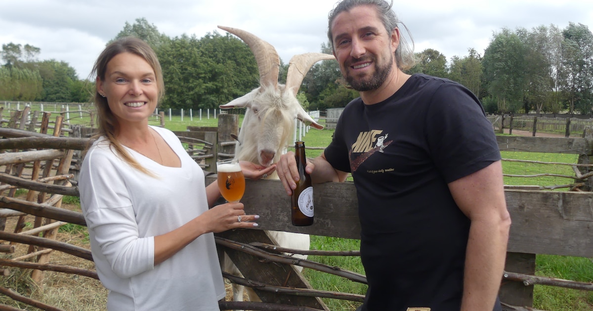 Deurles Geitenhoeve zorgt voor melk, kaas, desserts én een blond ...