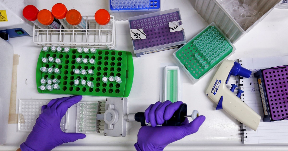 “Ongezien”: kankermedicijn doet tumoren afnemen bij elke proefpersoon ...