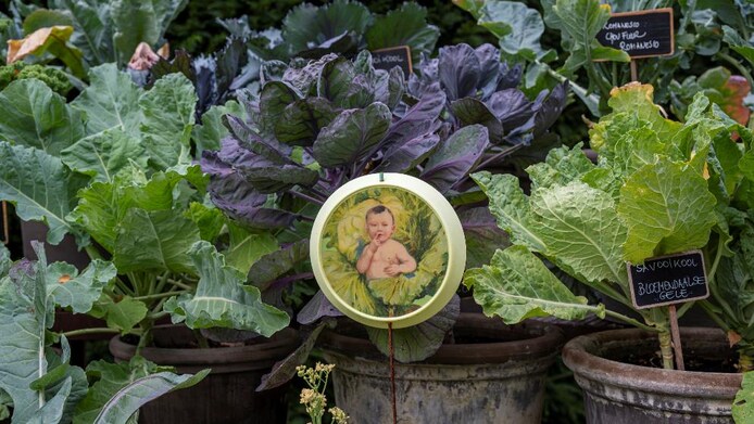 Expositie ‘Uit de kolen’ in Arboretum Kalmthout verlengd tot oktober ...