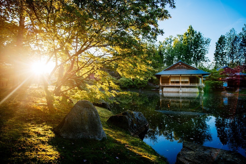Docenten Hogeschool PXL houden hoofd koel in de Japanse Tuin | Foto ...