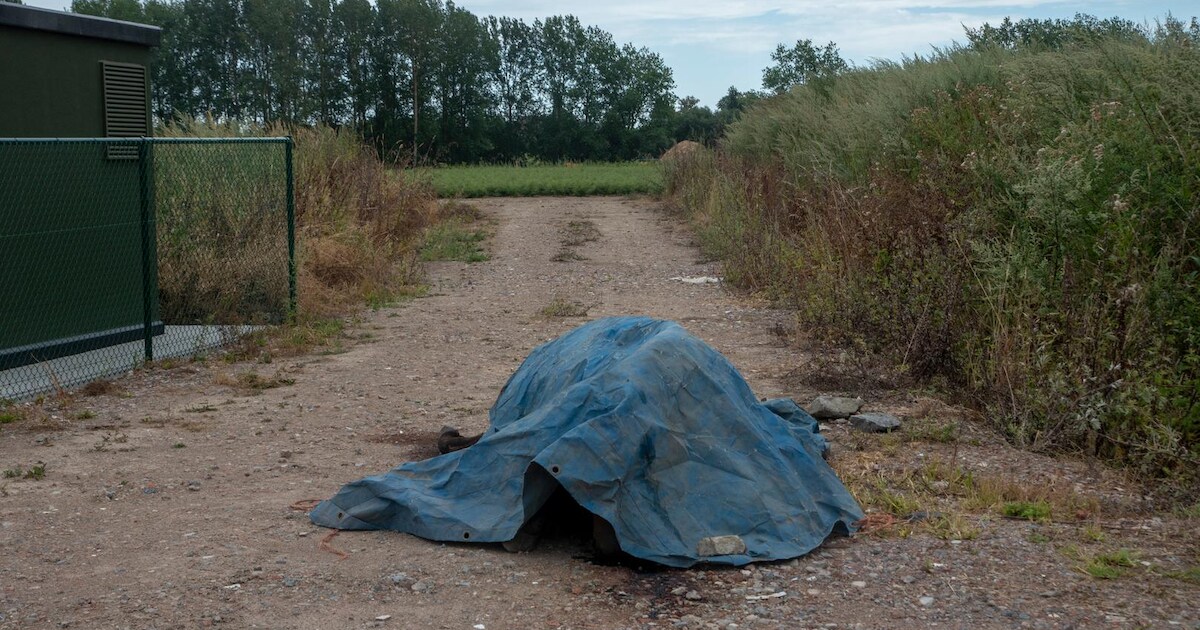 Kadaver ligt hele weekend te stinken | Wetteren | HLN.be