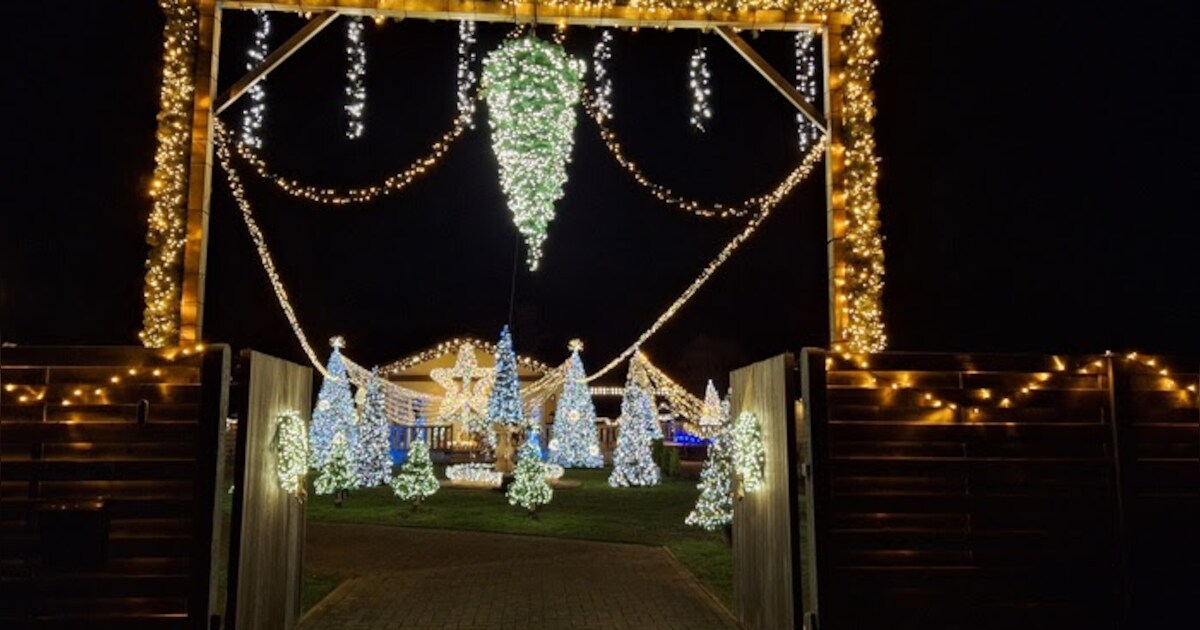 Herseltse woning schittert met 250.000 kerstlichtjes | Herselt | HLN.be