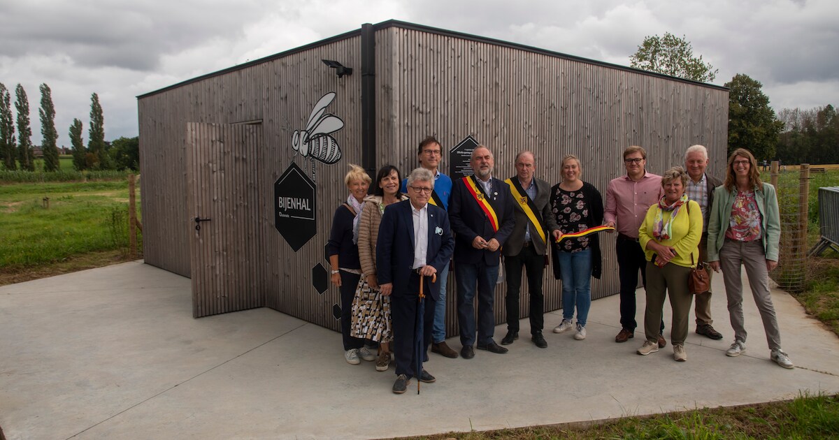 Bijenhal Groot Bewijk wordt educatief centrum voor scholen en imkers ...