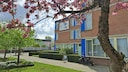 Bestuur Lodewijk College roept personeel op tot rust na tumult over ...
