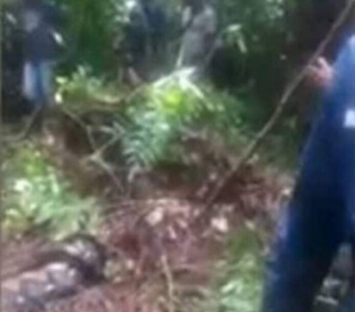 Lichaam vermiste vrouw teruggevonden in meterslange python | Buitenland ...