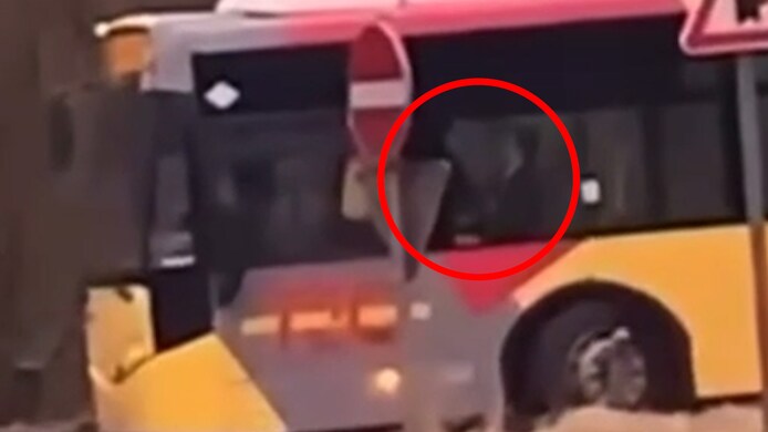 KIJK. Omstaanders filmen hoe twee mensen seks hebben op bus van TEC in ...