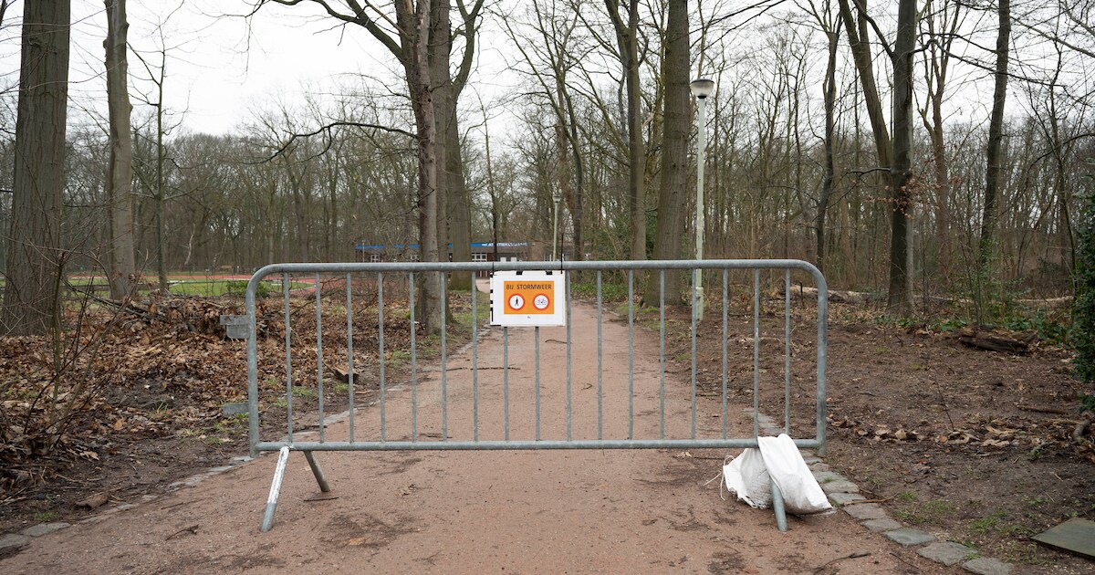 Booms park deels afgesloten uit veiligheidsoverwegingen | Regio | HLN.be