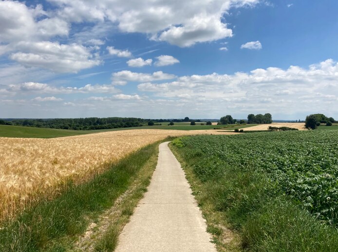 Het Plateau van Duisburg krijgt in 2024 een artistiek rustpunt: “Een ...